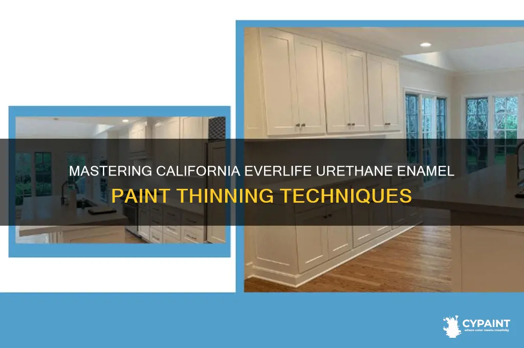 Mastering California Everlife Urethane Enamel Paint Thinning Techniques ...