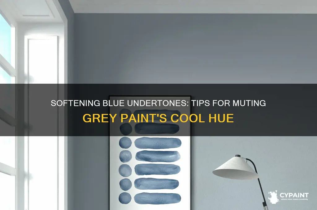 Softening Blue Undertones: Tips For Muting Grey Paint's Cool Hue | CyPaint