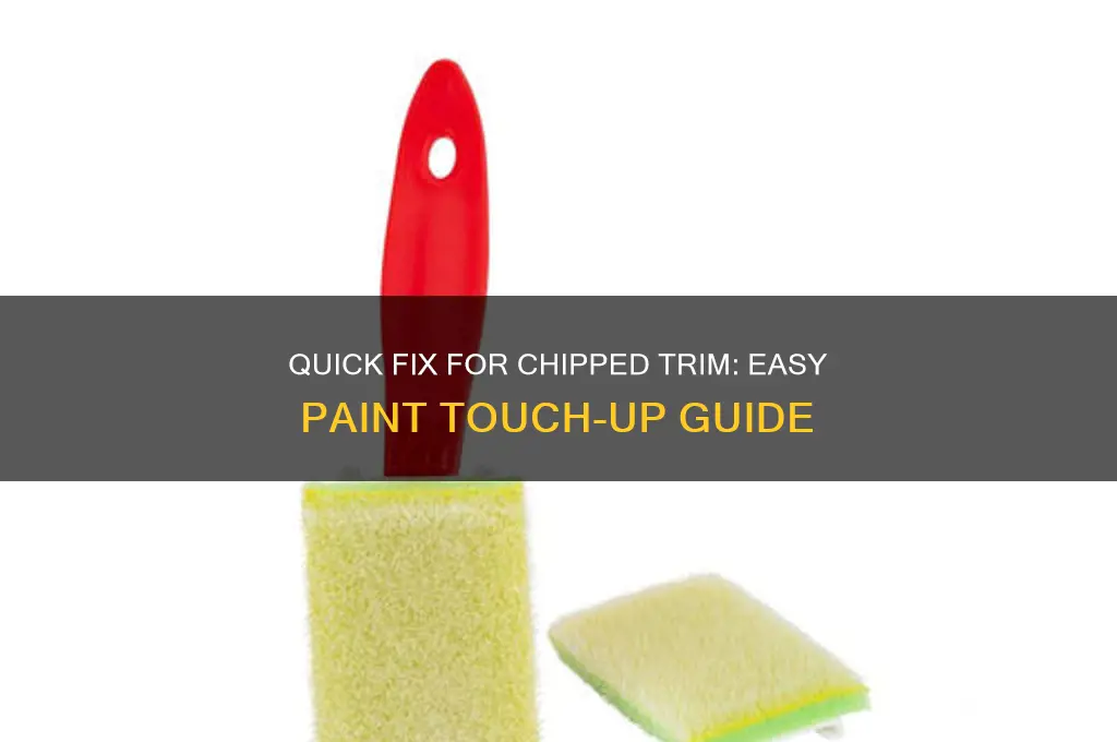Quick Fix For Chipped Trim: Easy Paint Touch-Up Guide | CyPaint