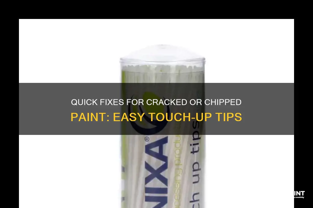 Quick Fixes For Cracked Or Chipped Paint: Easy Touch-Up Tips | CyPaint