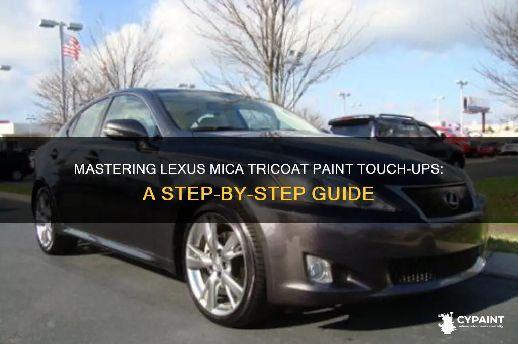 Mastering Lexus Mica Tricoat Paint Touch-Ups: A Step-By-Step Guide ...