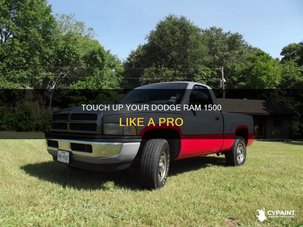 Touch Up Your Dodge Ram 1500 Like A Pro | CyPaint
