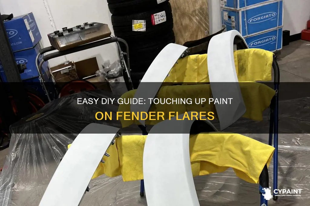 Easy Diy Guide: Touching Up Paint On Fender Flares | CyPaint
