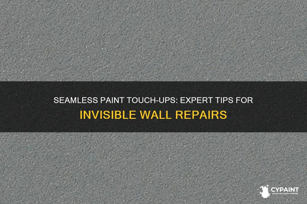 Seamless Paint Touch-Ups: Expert Tips For Invisible Wall Repairs | CyPaint