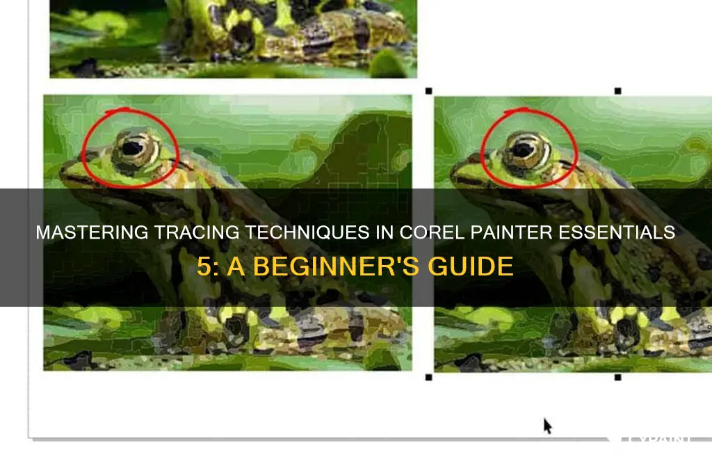 Mastering Tracing Techniques In Corel Painter Essentials 5: A Beginner ...