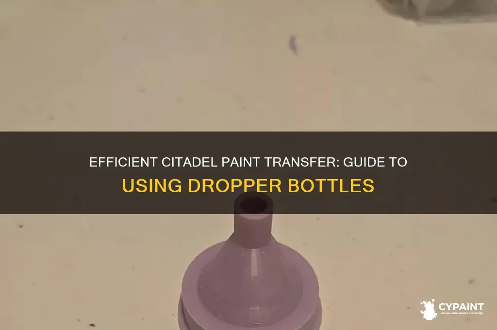 Efficient Citadel Paint Transfer: Guide To Using Dropper Bottles | CyPaint