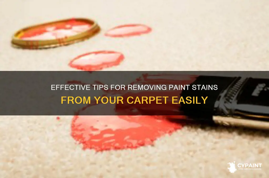 Effective Tips For Removing Paint Stains From Your Carpet Easily | CyPaint