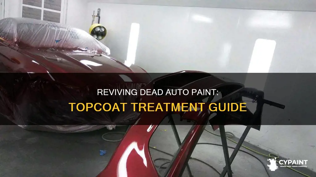 Reviving Dead Auto Paint: Topcoat Treatment Guide | CyPaint