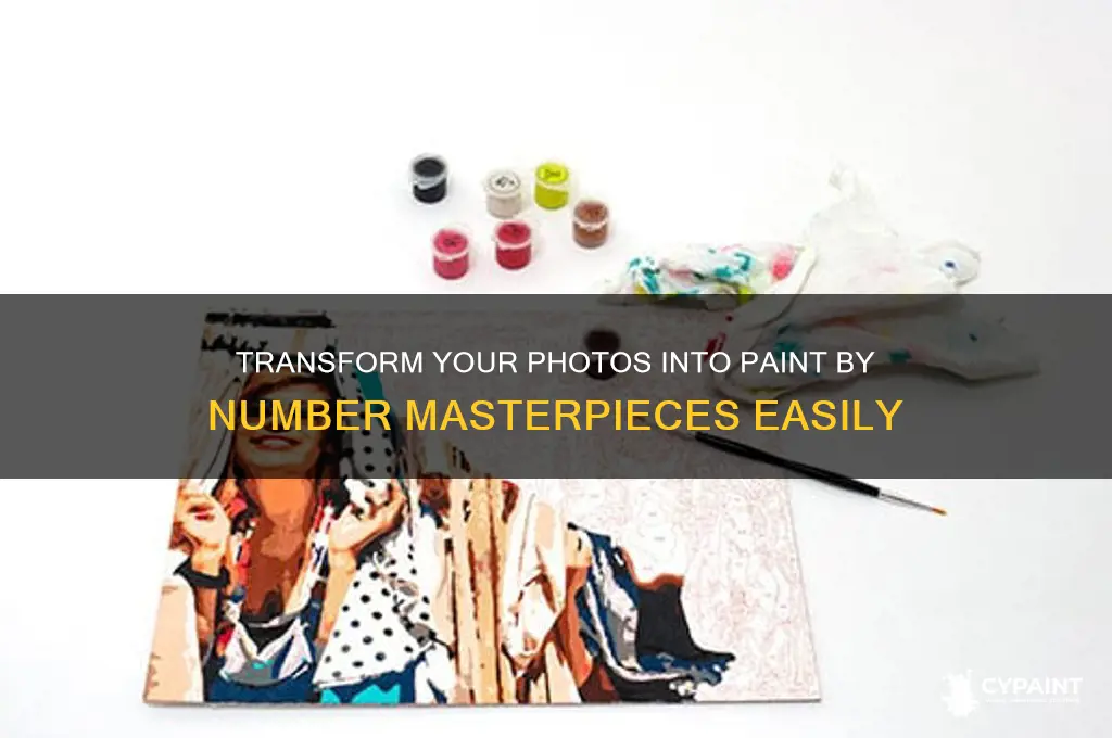 Transform Your Photos Into Paint By Number Masterpieces Easily | CyPaint