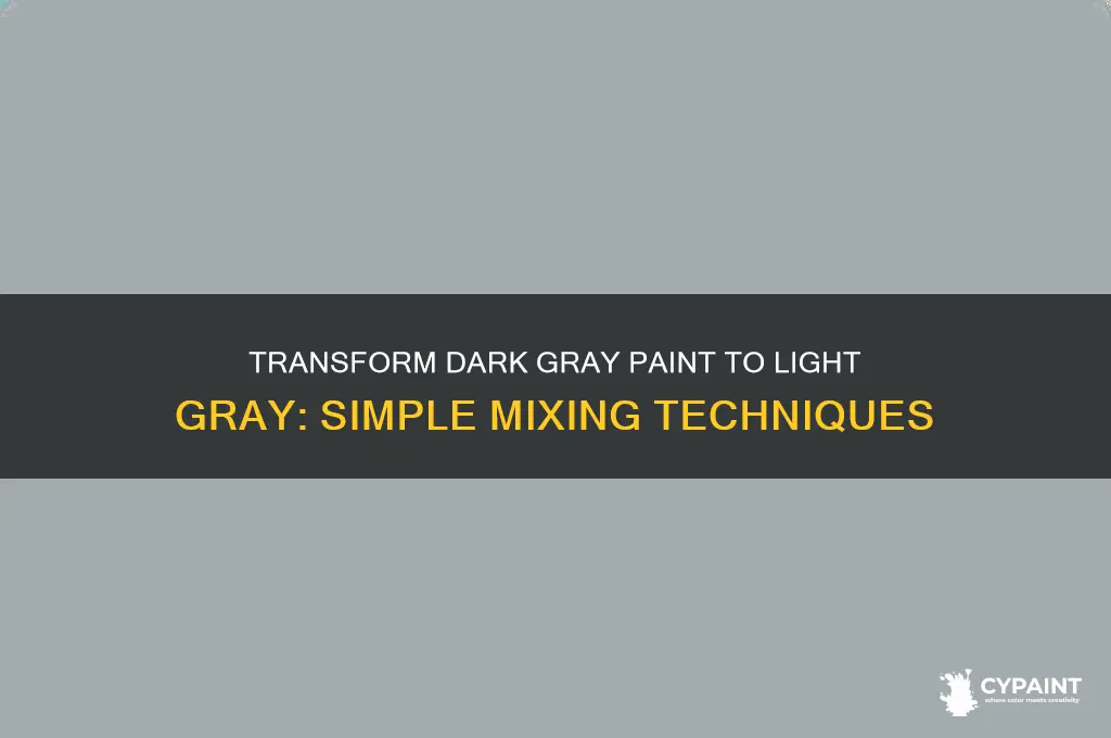 Transform Dark Gray Paint To Light Gray: Simple Mixing Techniques | CyPaint