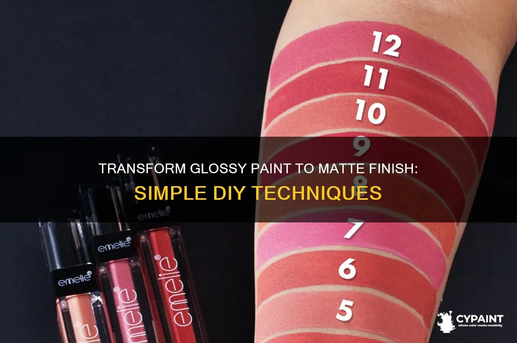 Transform Glossy Paint To Matte Finish: Simple Diy Techniques | CyPaint