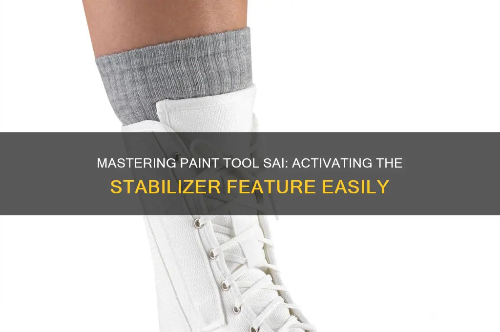 Mastering Paint Tool Sai: Activating The Stabilizer Feature Easily ...