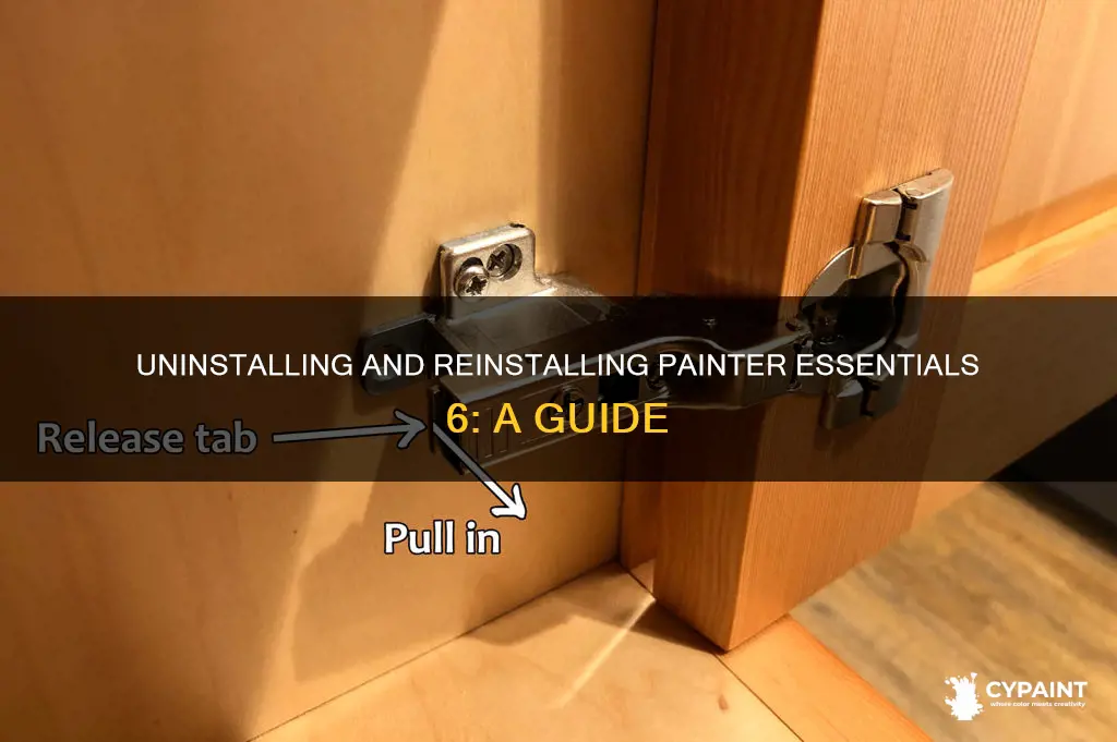Uninstalling And Reinstalling Painter Essentials 6: A Guide | CyPaint