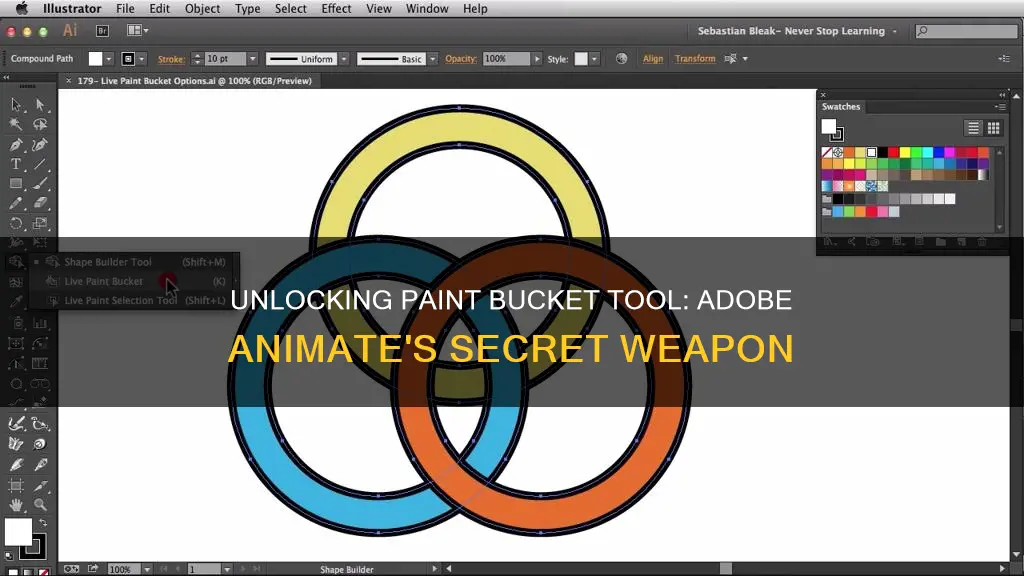Unlocking Paint Bucket Tool: Adobe Animate's Secret Weapon | CyPaint
