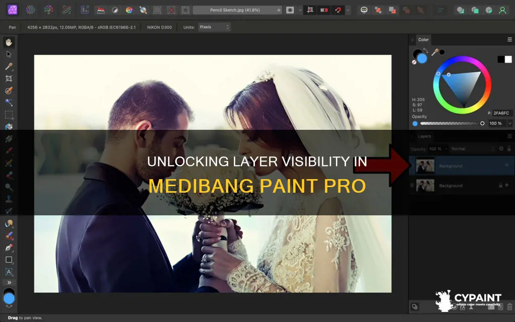 Unlocking Layer Visibility In Medibang Paint Pro | CyPaint