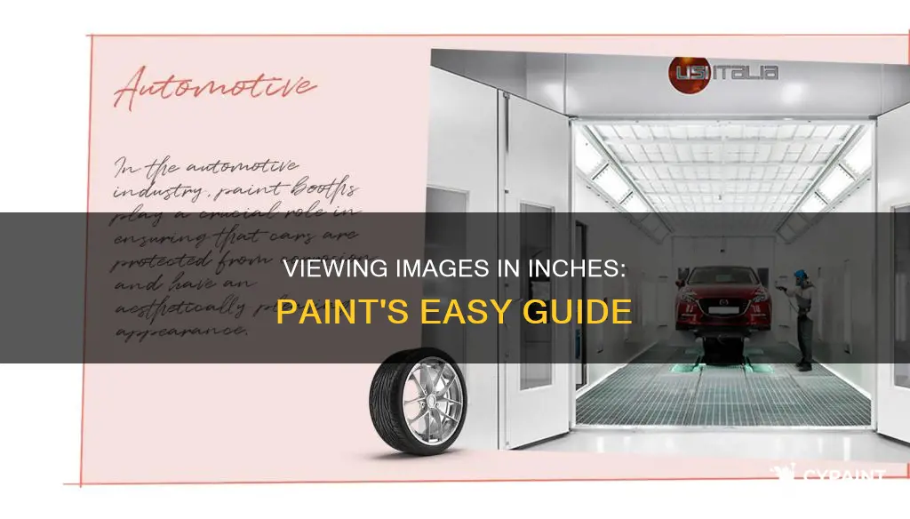 Viewing Images In Inches: Paint's Easy Guide | CyPaint