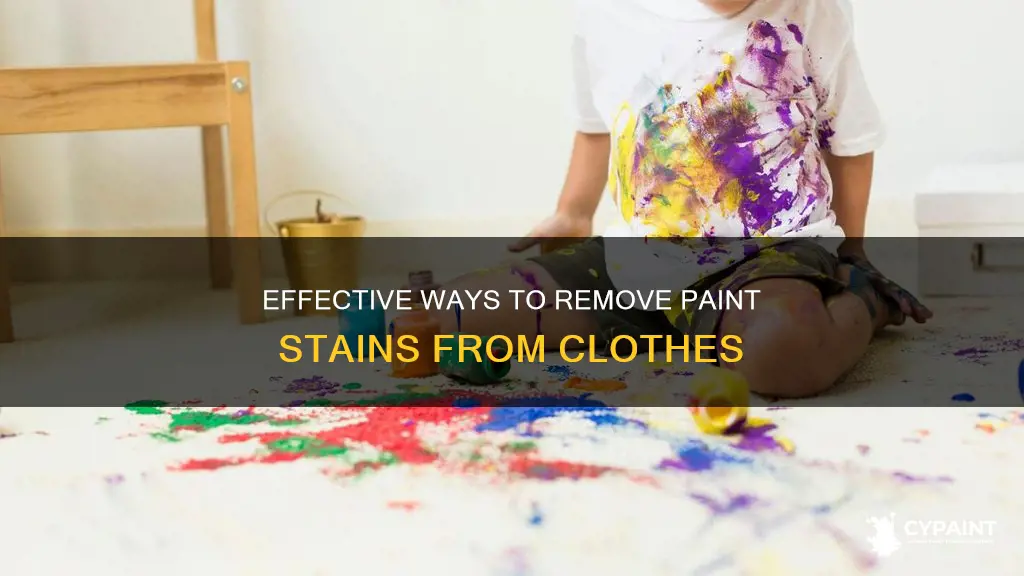 Effective Ways To Remove Paint Stains From Clothes | CyPaint