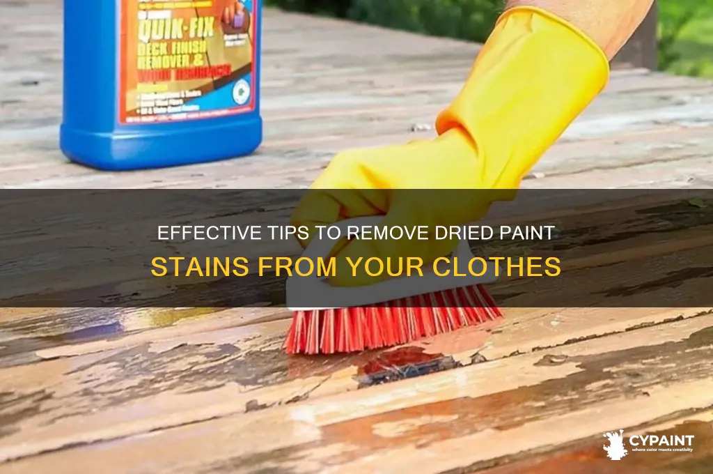 Effective Tips To Remove Dried Paint Stains From Your Clothes | CyPaint