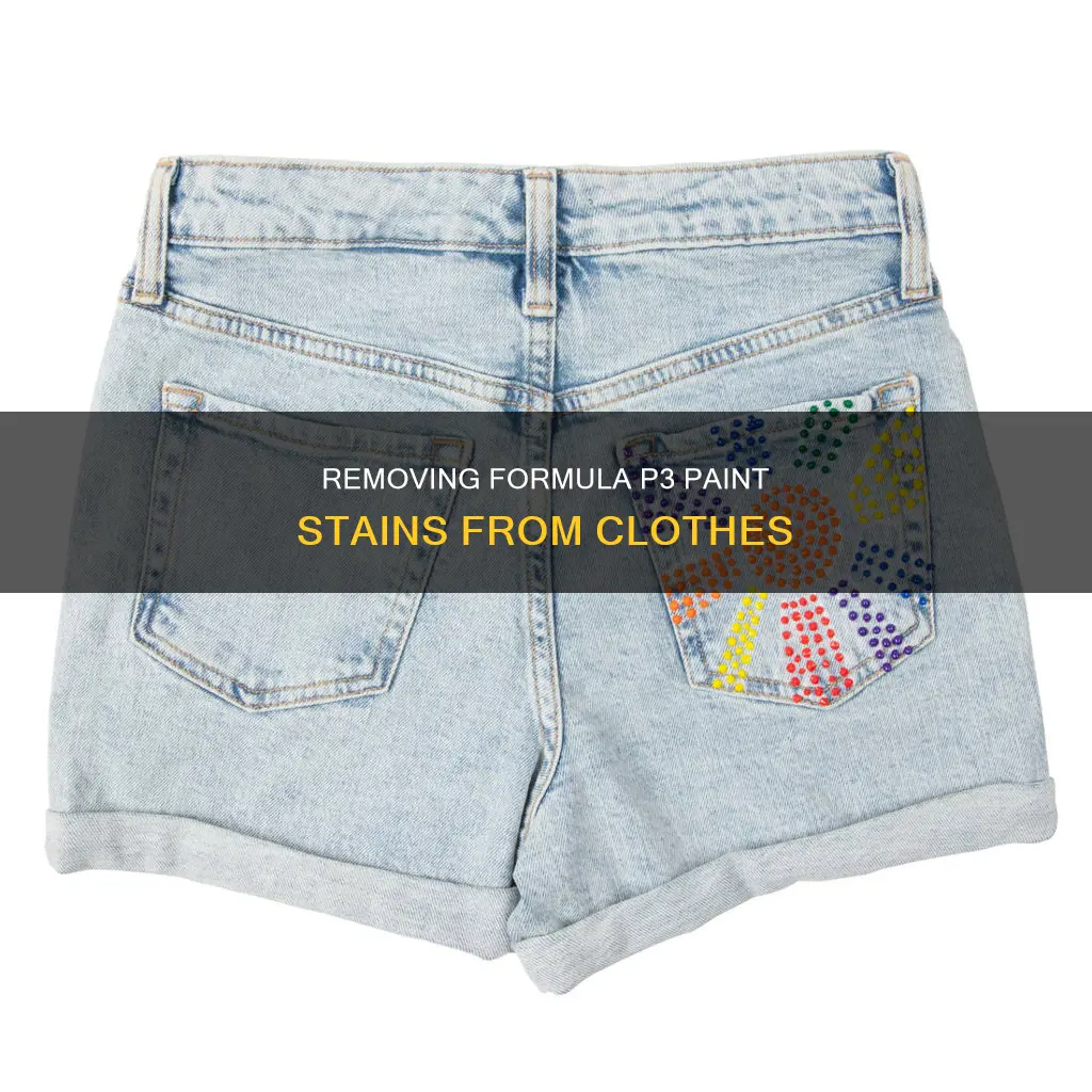 Removing Formula P3 Paint Stains From Clothes | CyPaint