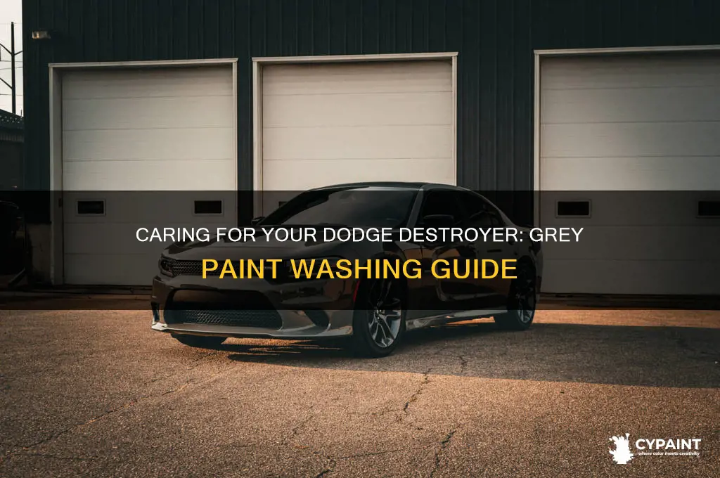 Caring For Your Dodge Destroyer: Grey Paint Washing Guide | CyPaint
