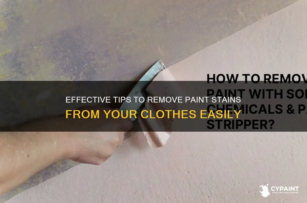 Effective Tips To Remove Paint Stains From Your Clothes Easily | CyPaint