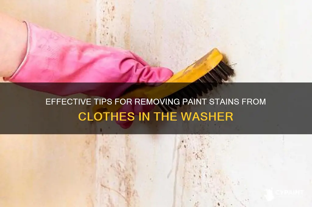 Effective Tips For Removing Paint Stains From Clothes In The Washer ...