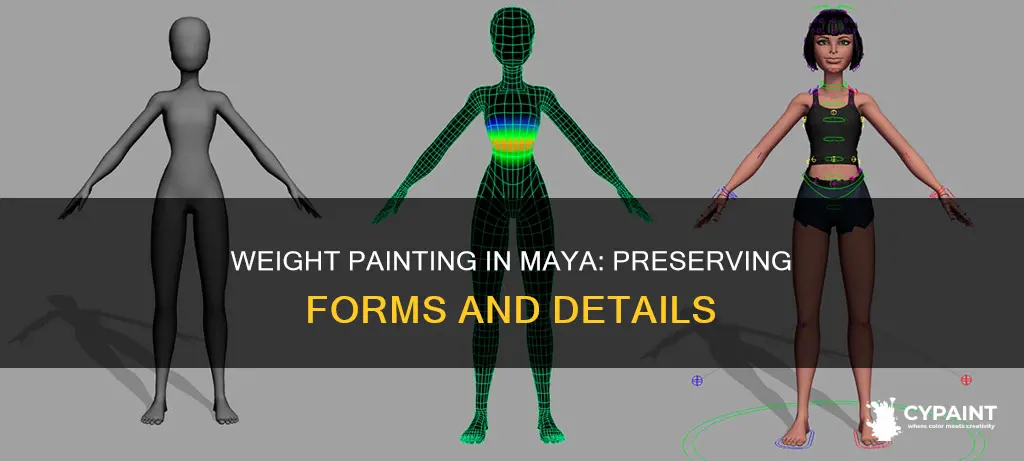 Weight Painting In Maya: Preserving Forms And Details | CyPaint
