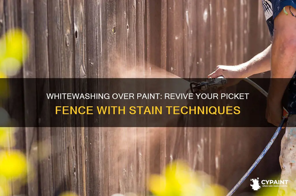 Whitewashing Over Paint: Revive Your Picket Fence With Stain Techniques ...