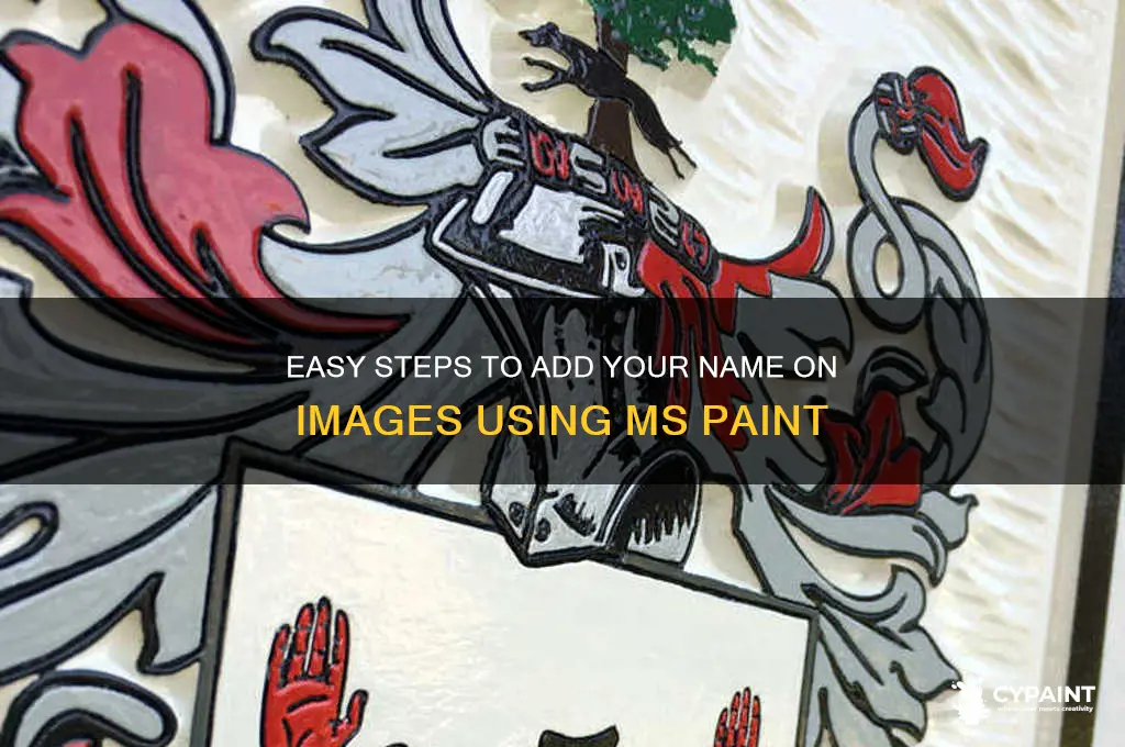 Easy Steps To Add Your Name On Images Using Ms Paint | CyPaint