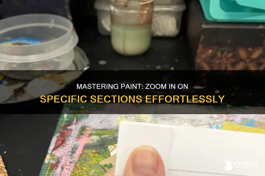 Mastering Paint: Zoom In On Specific Sections Effortlessly | CyPaint