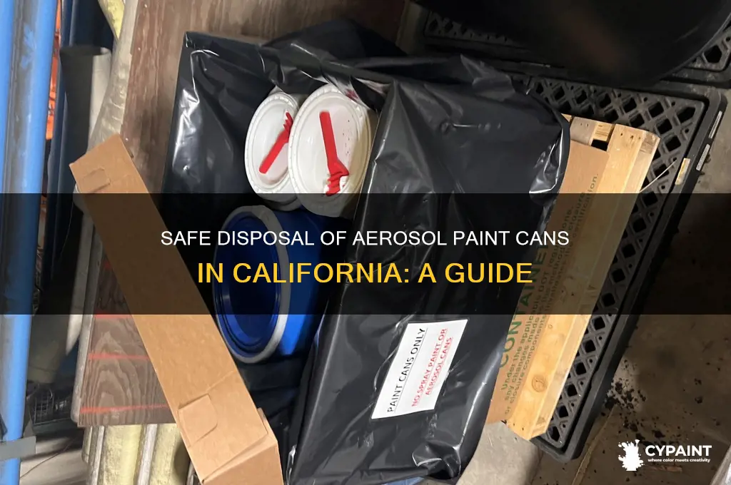 Safe Disposal Of Aerosol Paint Cans In California: A Guide | CyPaint