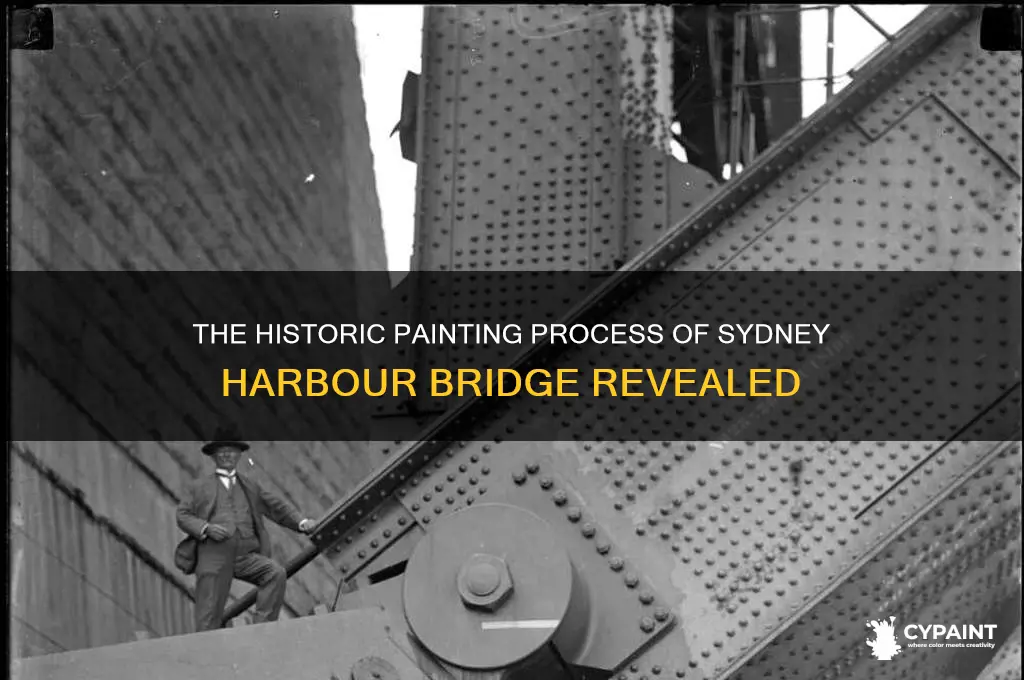The Historic Painting Process Of Sydney Harbour Bridge Revealed | CyPaint