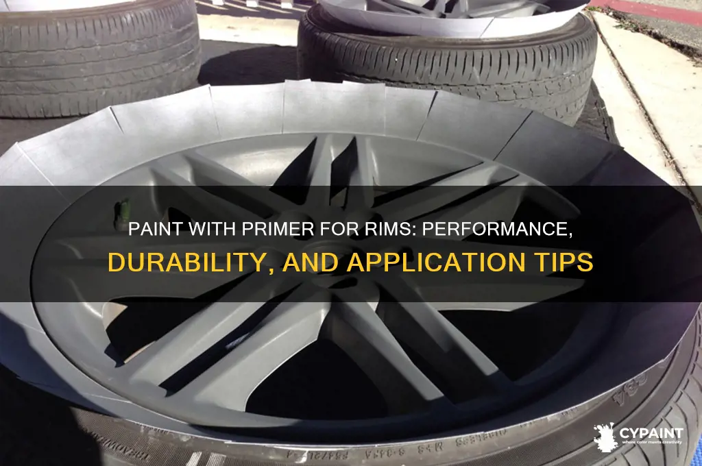 Paint With Primer For Rims: Performance, Durability, And Application ...