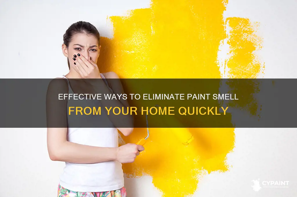 Effective Ways To Eliminate Paint Smell From Your Home Quickly | CyPaint