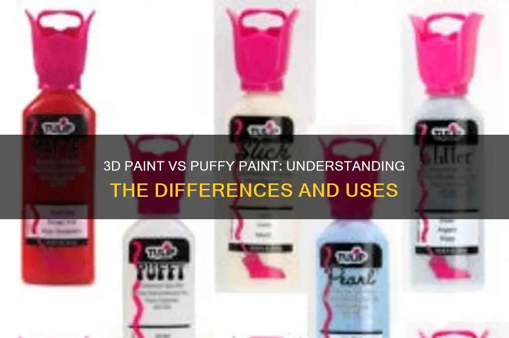 3D Paint Vs Puffy Paint: Understanding The Differences And Uses | CyPaint