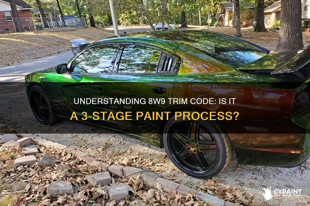 Understanding 8W9 Trim Code: Is It A 3-Stage Paint Process? | CyPaint