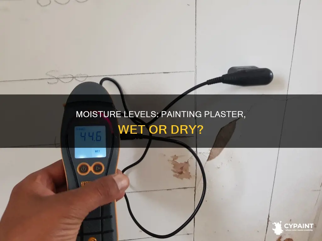 Moisture Levels: Painting Plaster, Wet Or Dry? | CyPaint