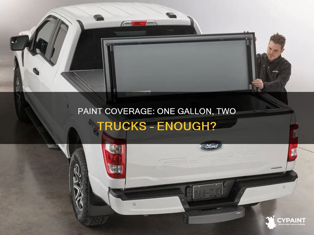 Paint Coverage: One Gallon, Two Trucks – Enough? | CyPaint