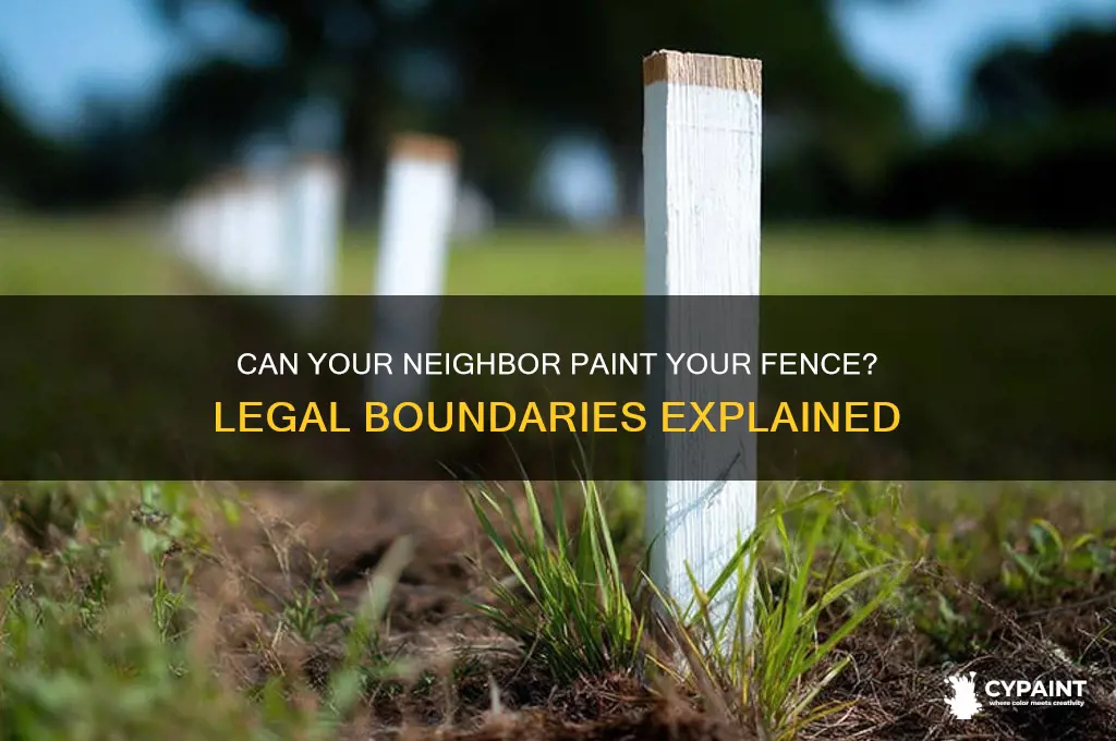 Can Your Neighbor Paint Your Fence? Legal Boundaries Explained | CyPaint