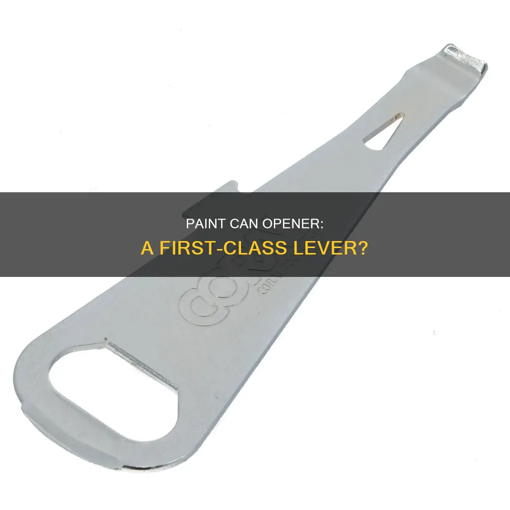 Paint Can Opener: A First-Class Lever? | CyPaint