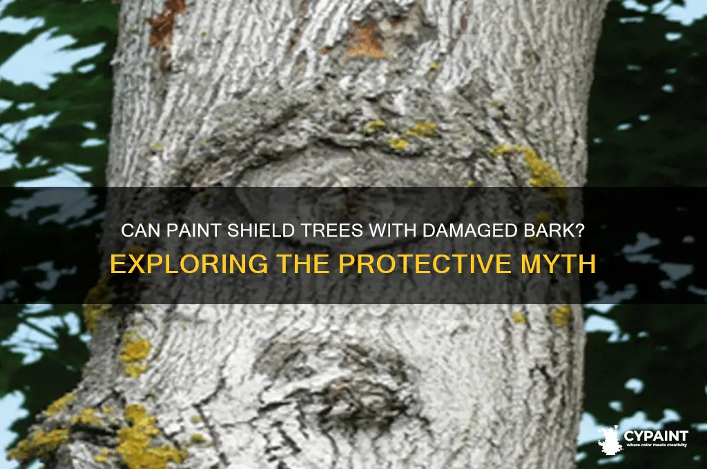Can Paint Shield Trees With Damaged Bark? Exploring The Protective Myth ...