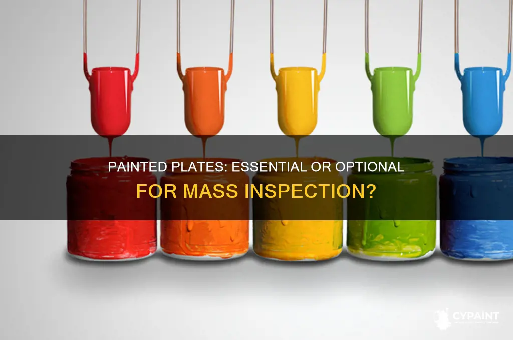 Painted Plates: Essential Or Optional For Mass Inspection? | CyPaint