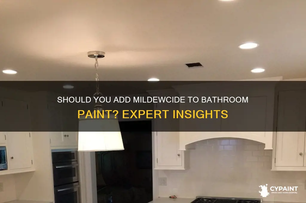 Should You Add Mildewcide To Bathroom Paint? Expert Insights | CyPaint