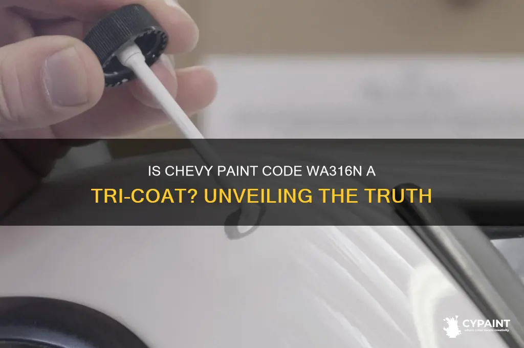 Is Chevy Paint Code Wa316n A Tri-Coat? Unveiling The Truth | CyPaint
