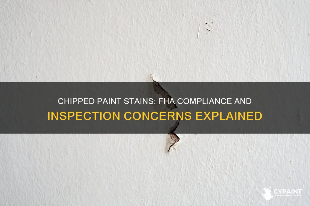Chipped Paint Stains: Fha Compliance And Inspection Concerns Explained ...