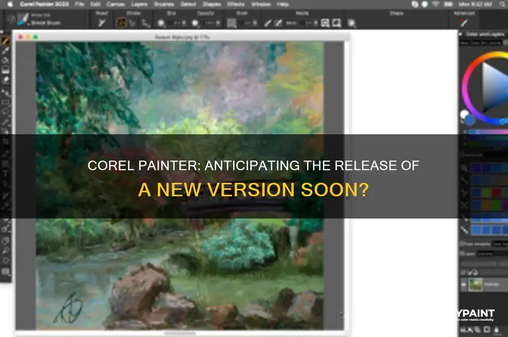 Corel Painter: Anticipating The Release Of A New Version Soon? | CyPaint