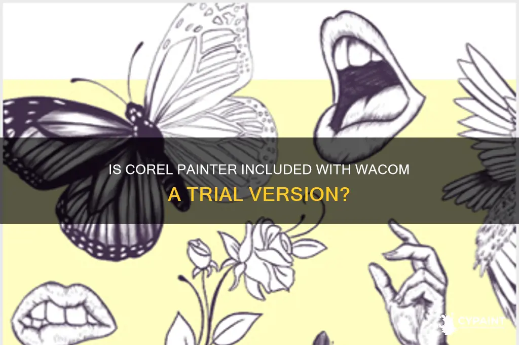 Is Corel Painter Included With Wacom A Trial Version? | CyPaint