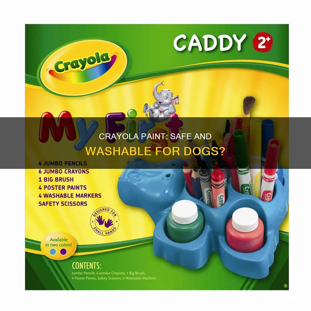 Crayola Paint: Safe And Washable For Dogs? | CyPaint