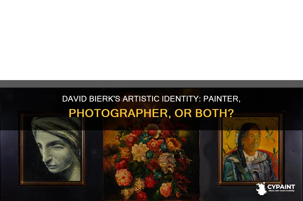 David Bierk's Artistic Identity: Painter, Photographer, Or Both? | CyPaint