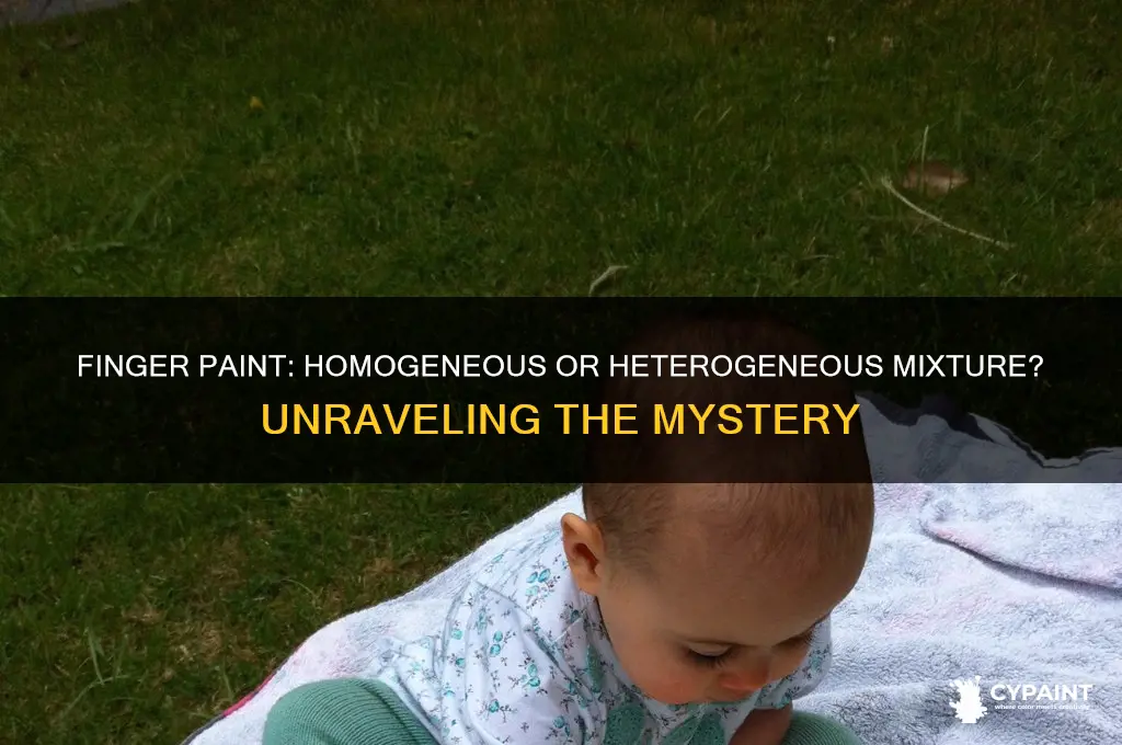 Finger Paint: Homogeneous Or Heterogeneous Mixture? Unraveling The ...